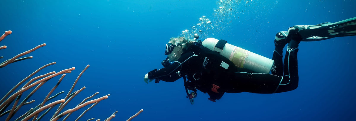 Professional Training Bundles– Tank'd Pro Dive Center Utila