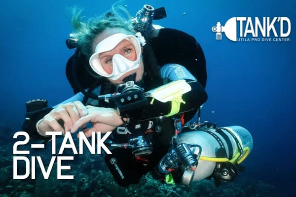 2-Tank Dive Afternoon– Tank'd Pro Dive Center Utila