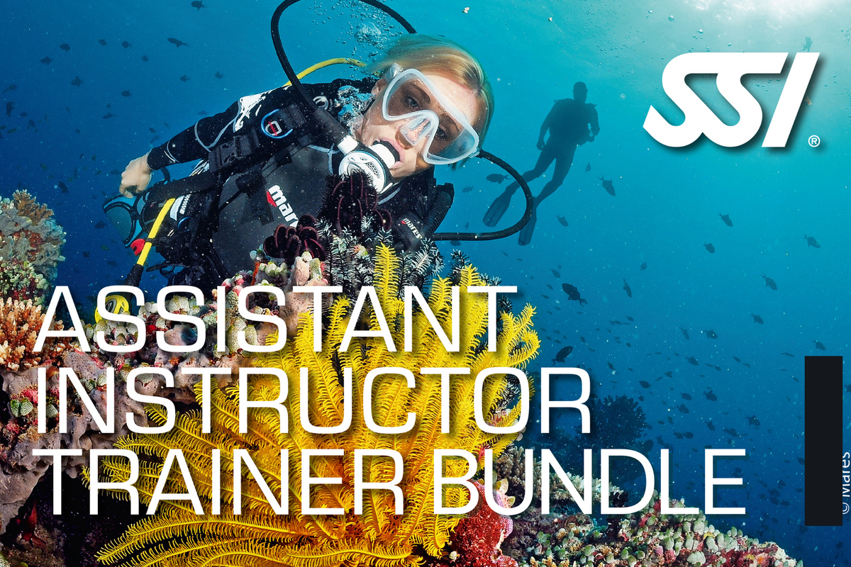 SSI Assistant Instructor / Open Water Instructor / Divemaster Instruct ...