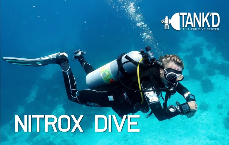 Nitrox Dive– Tank'd Pro Dive Center Utila