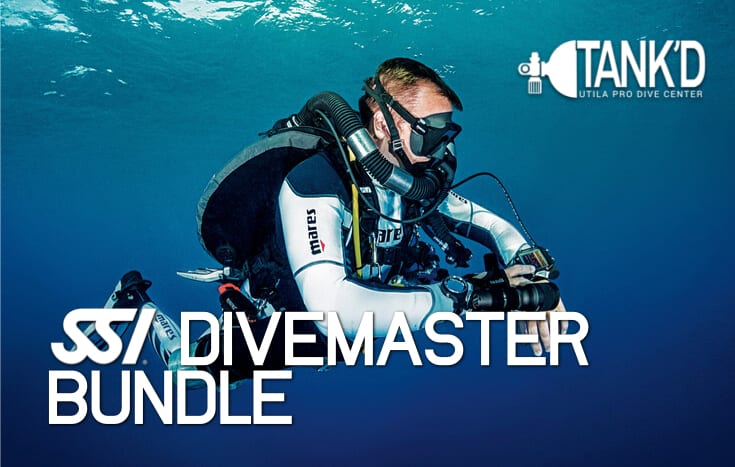 SSI Divemaster Bundle– Tank'd Pro Dive Center Utila